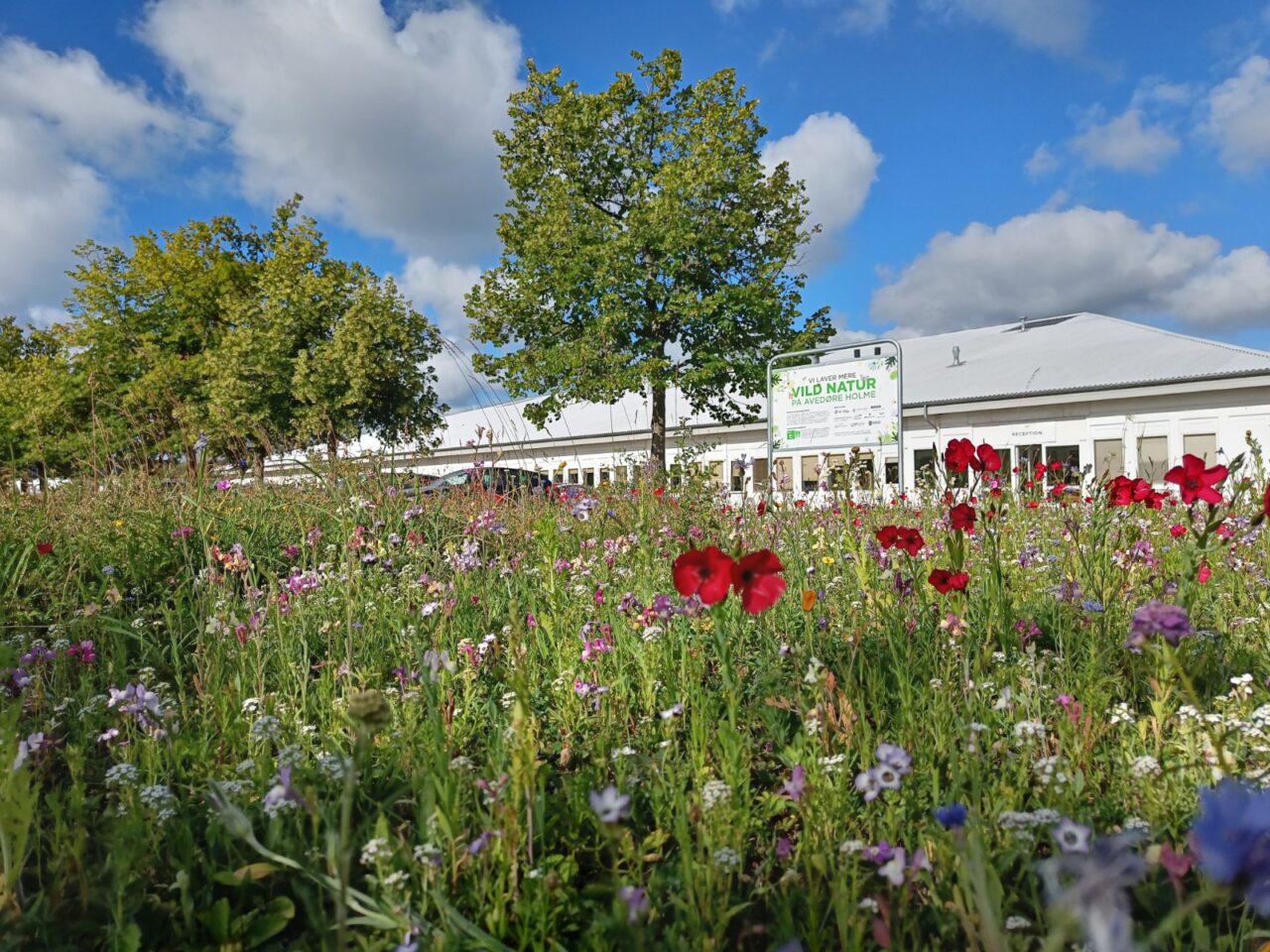 KLS PurePrint er en del af Science Based Targets Nature - KLS PurePrint